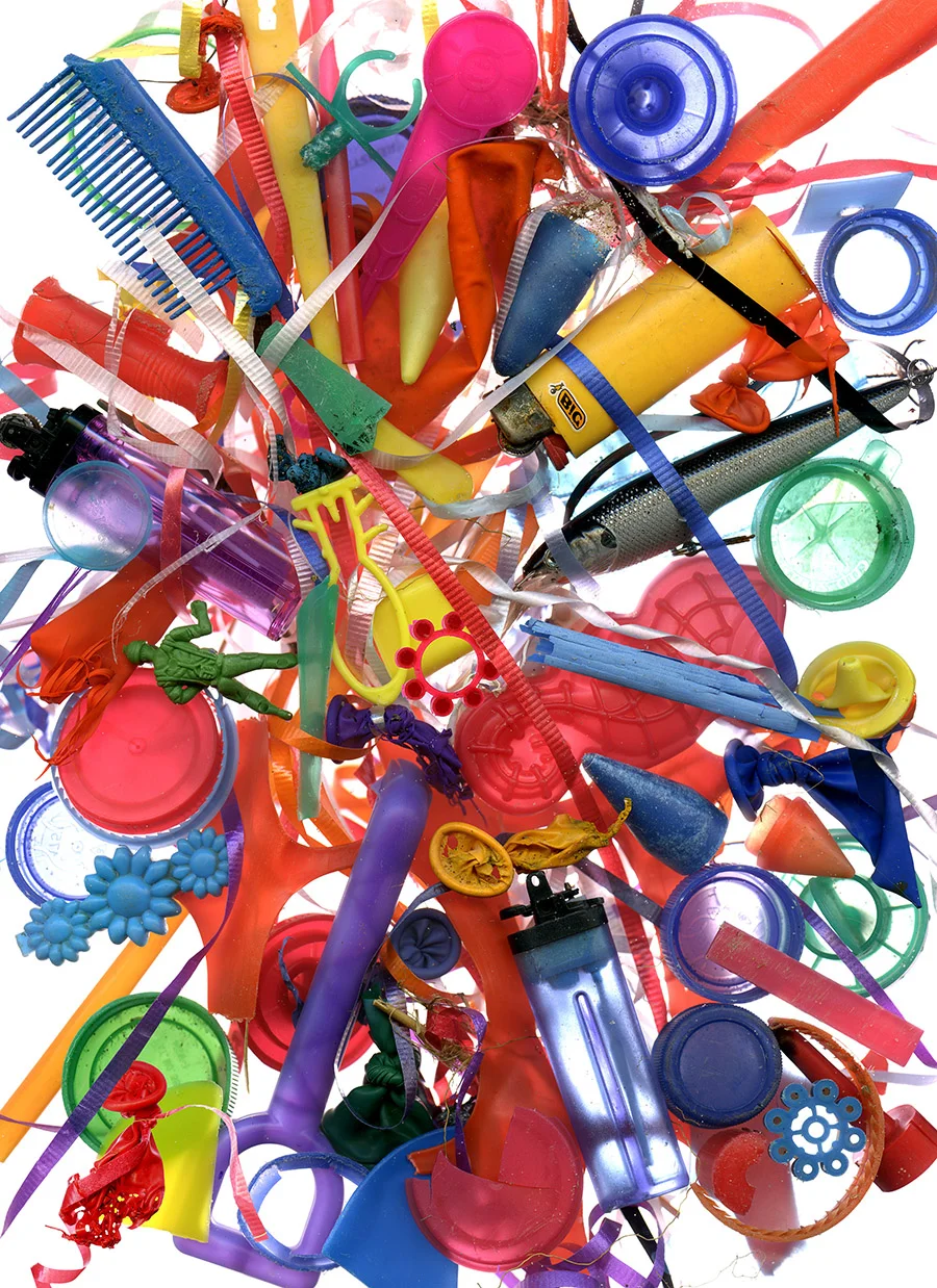 Fine Art — Sharon Beals