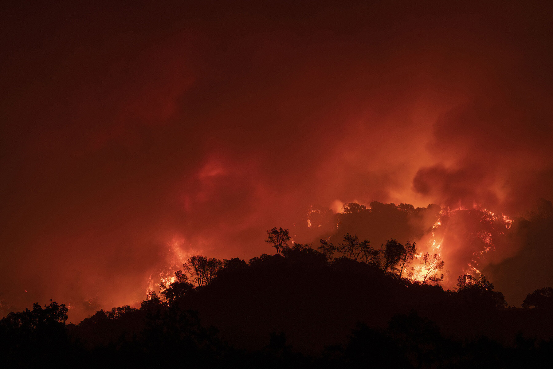 Fine Art — Sharon Beals