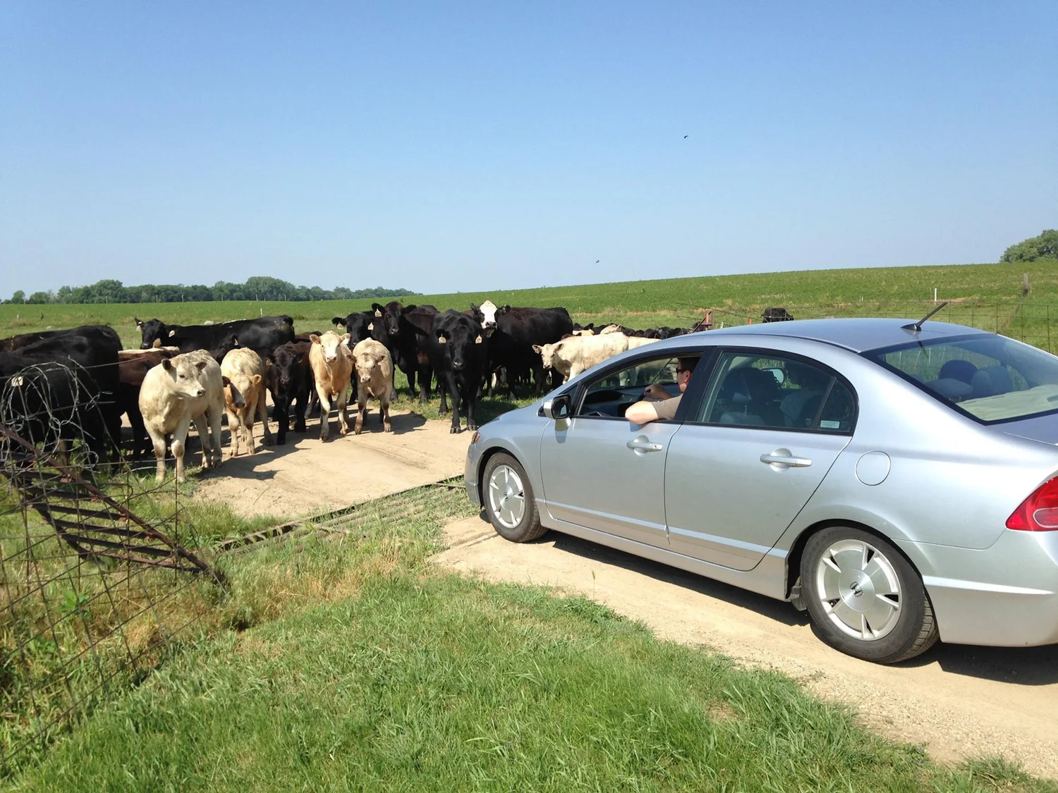 Porter Sculpture Park