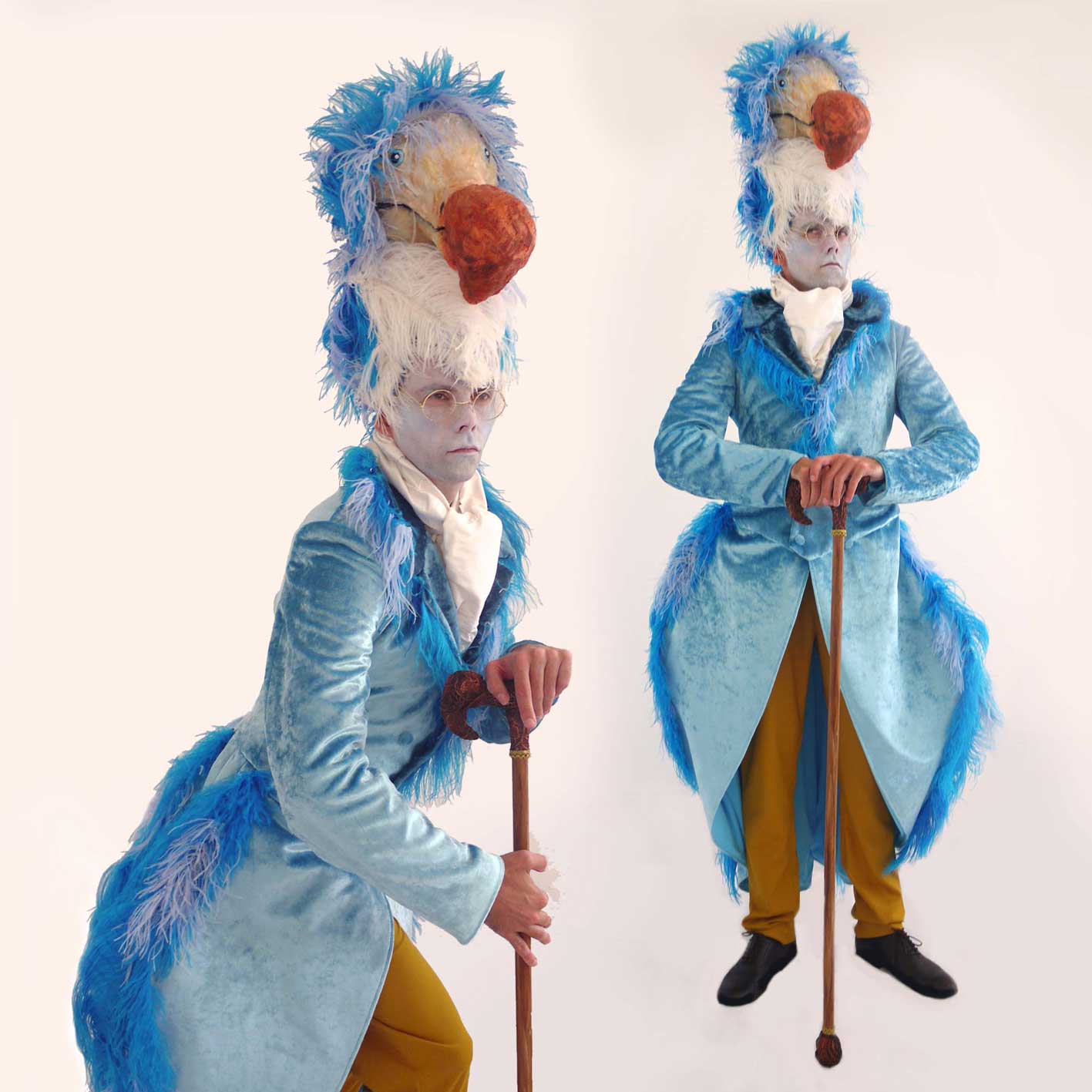 Dodo Alice In Wonderland Costume
