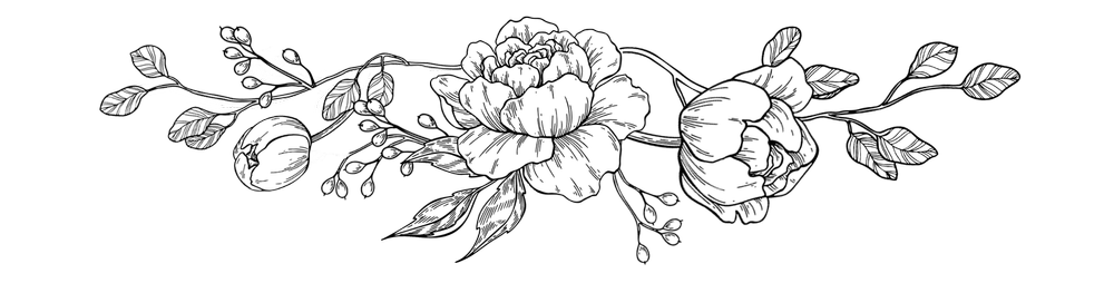 Black And White Rose Border