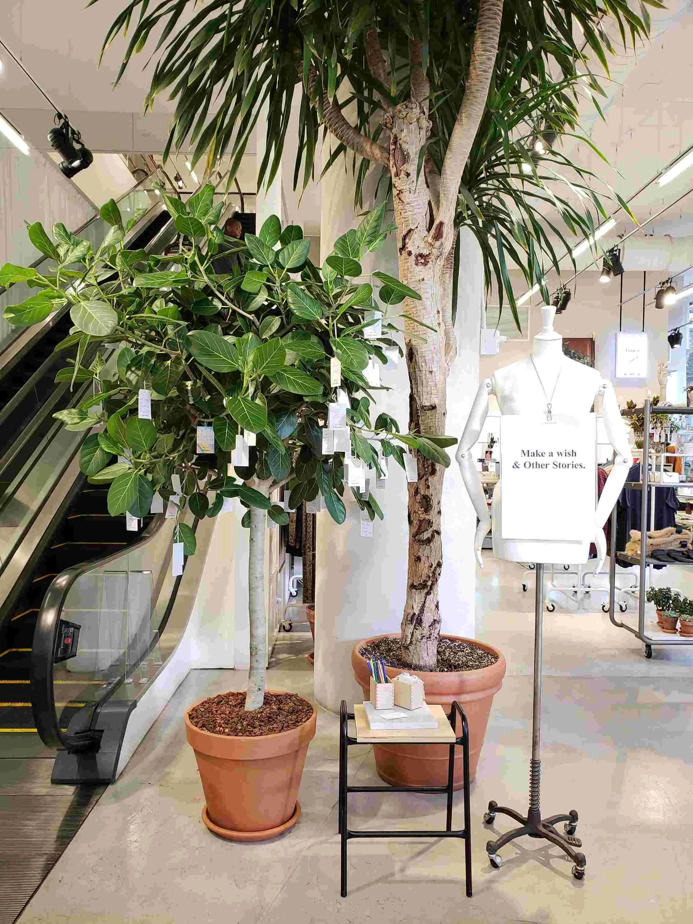 Brand Activation Events Floral Design Gallery — The Mini Rose Co.