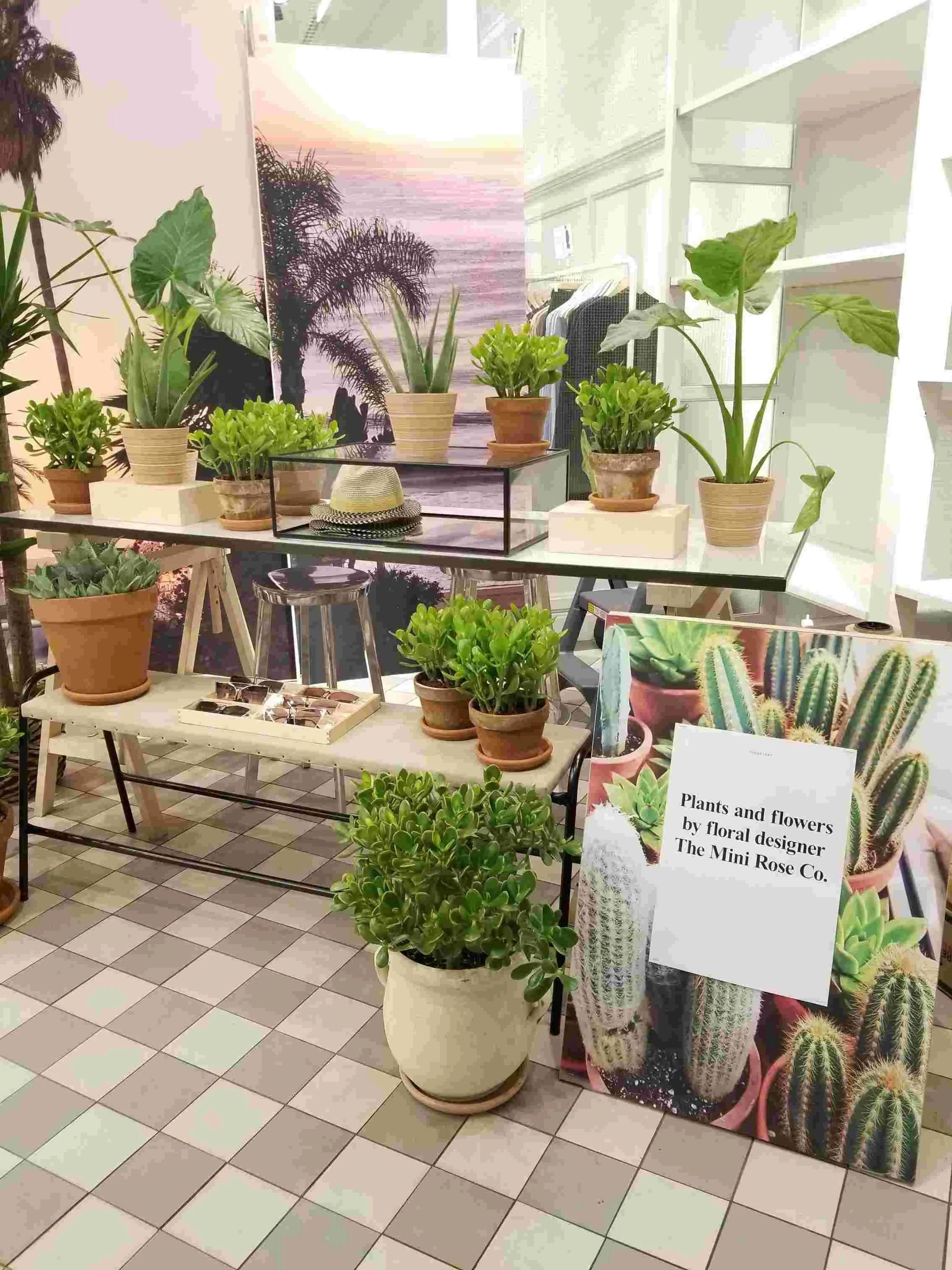 Brand Activation Events Floral Design Gallery — The Mini Rose Co.