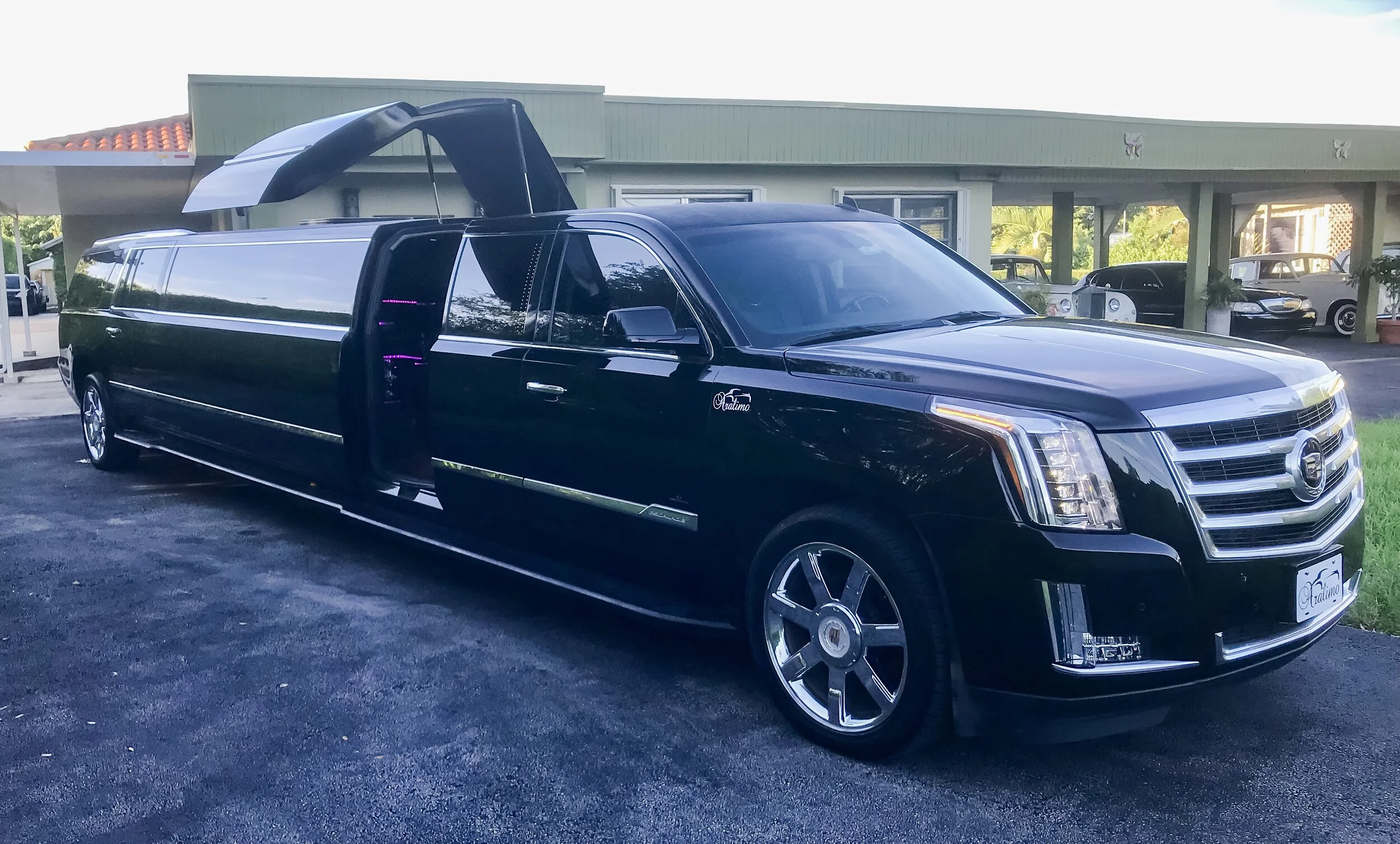 LIMO FLEET — AraLimo