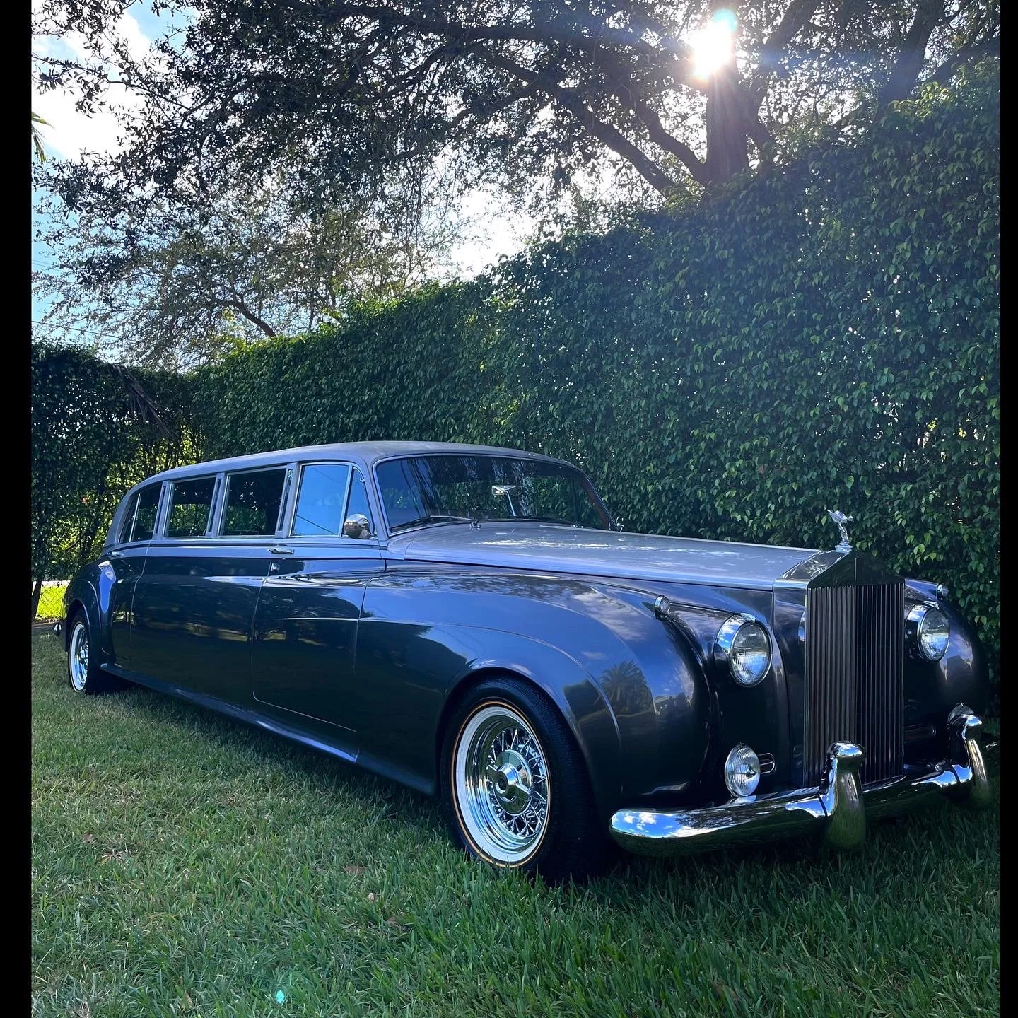 CLASSIC CARS — AraLimo