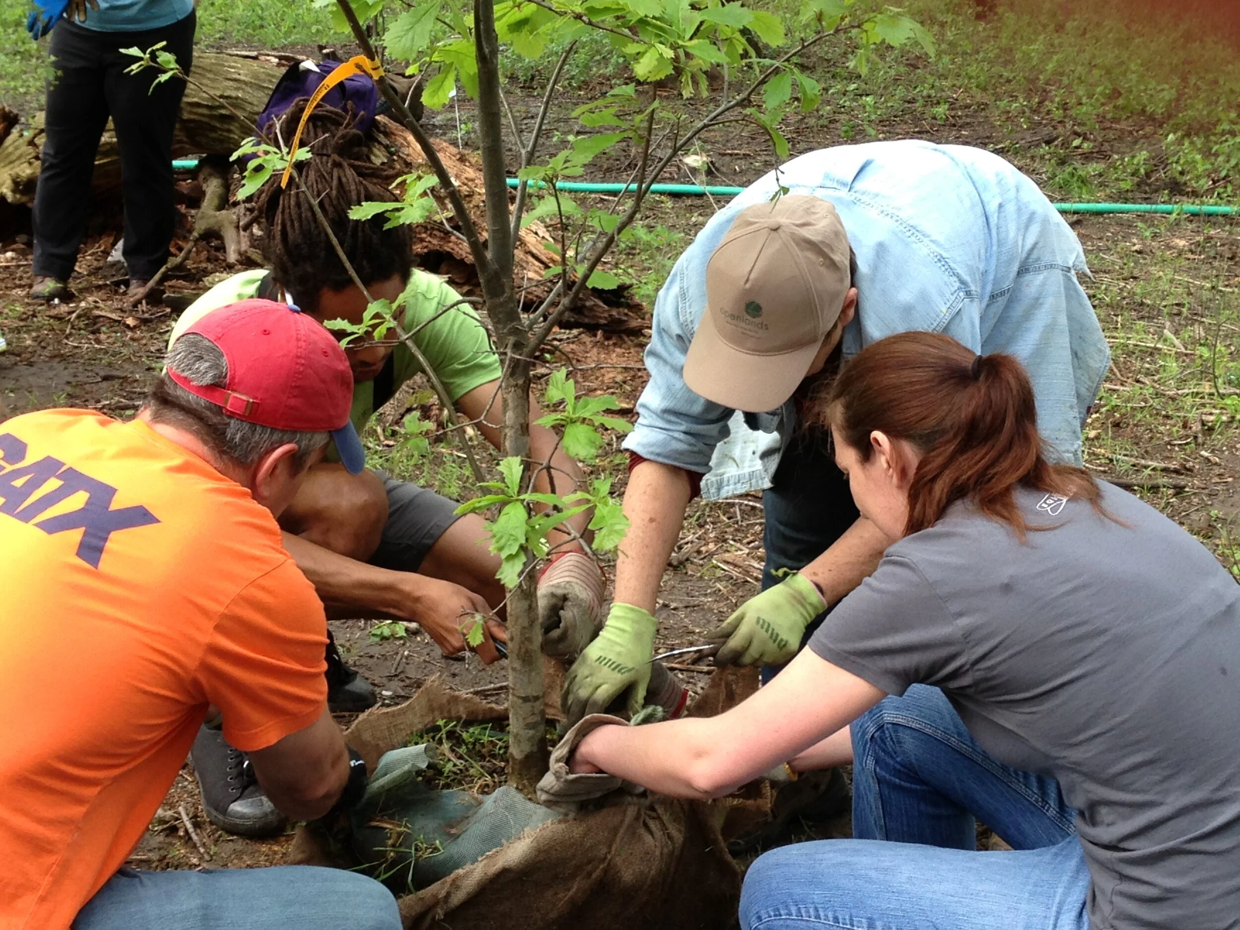 Serve — First Presbyterian Church