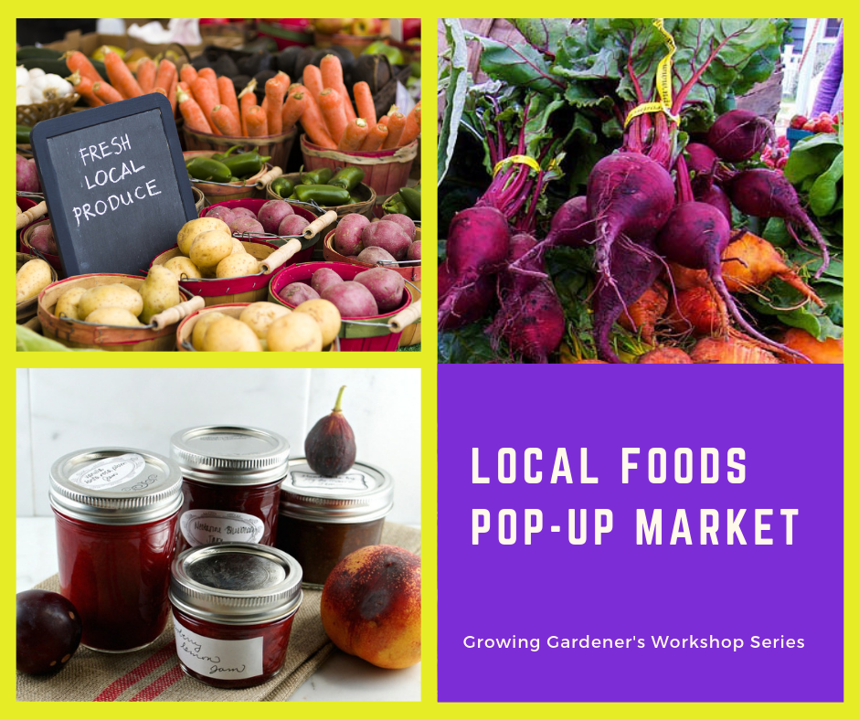 Events — The Big Garden