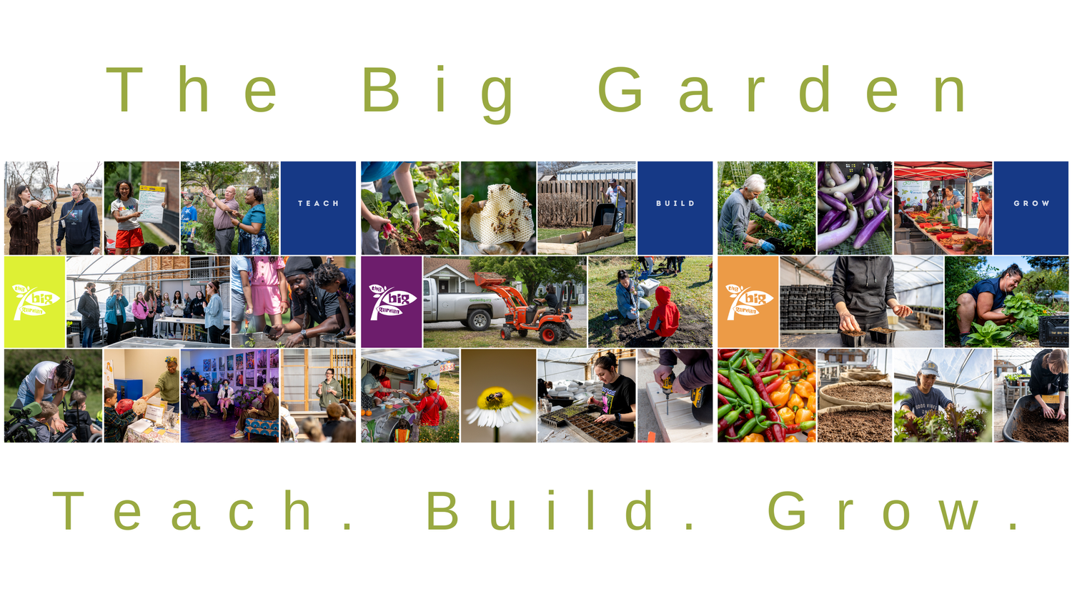 The Big Garden - Teach. Build. Grow.