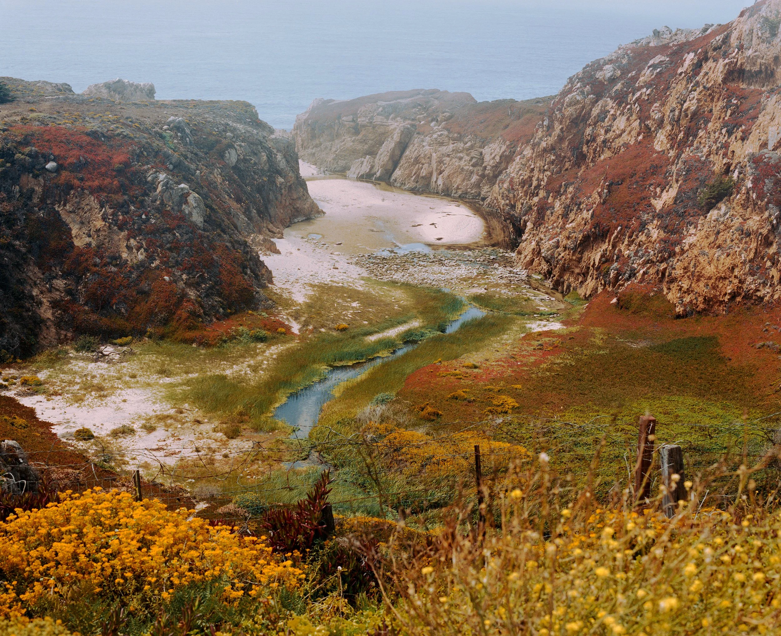 Big Sur — peyton fulford