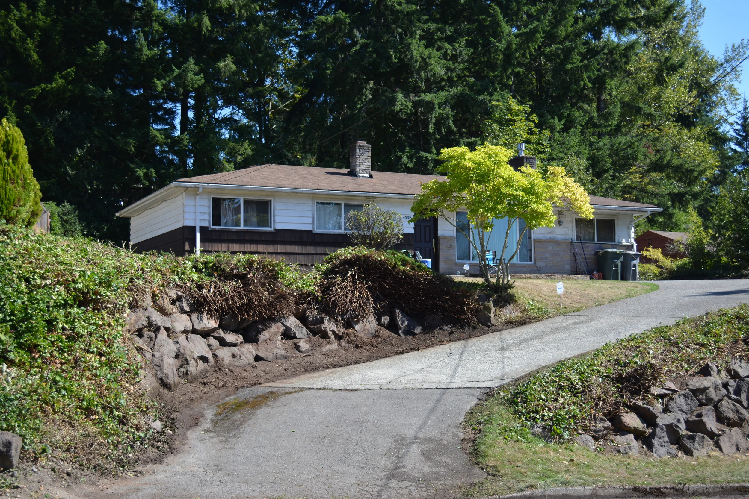 Giving Back — Urban Restoration