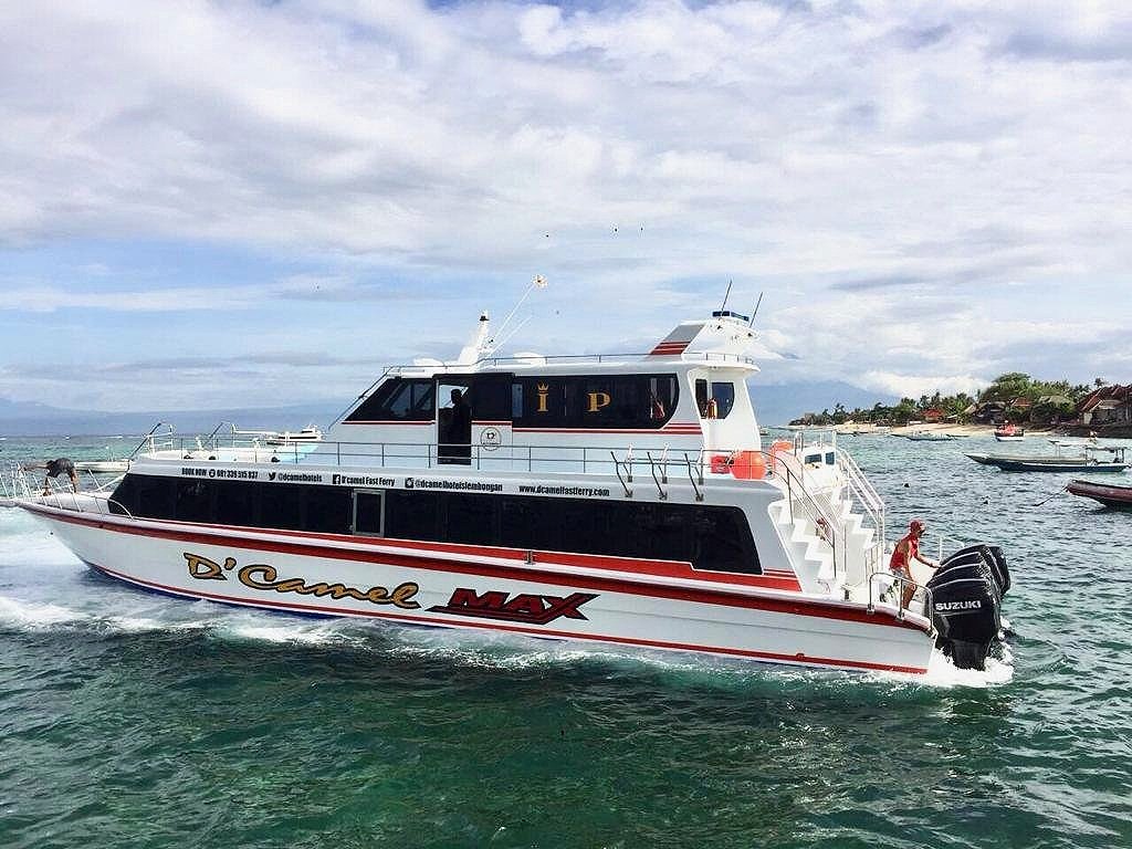 D CAMEL Fast ferry transfer from Sanur Bali to Nusa Lembongan & Nusa ...