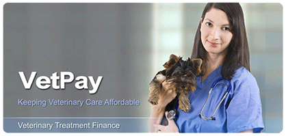 Payment Options — Bankstown Veterinary Hospital
