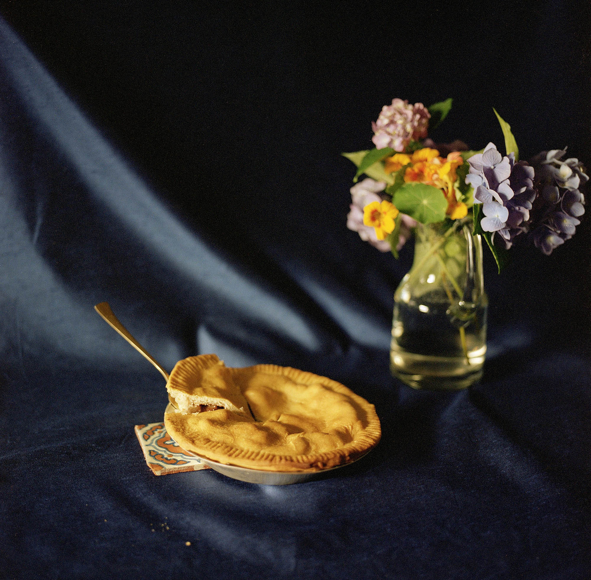 still life — CAT BYRNES