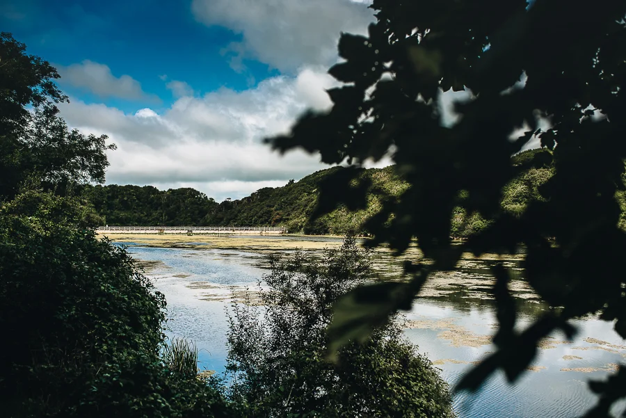 Bosherston Lily Ponds and Broad Haven South Beach — Our Beautiful ...