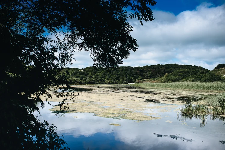 Bosherston Lily Ponds and Broad Haven South Beach — Our Beautiful ...