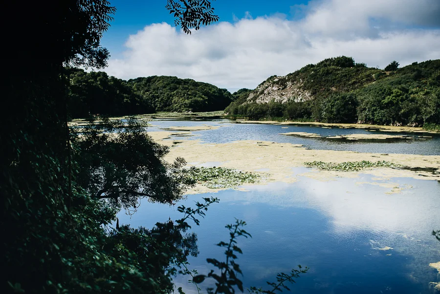 Bosherston Lily Ponds and Broad Haven South Beach — Our Beautiful ...
