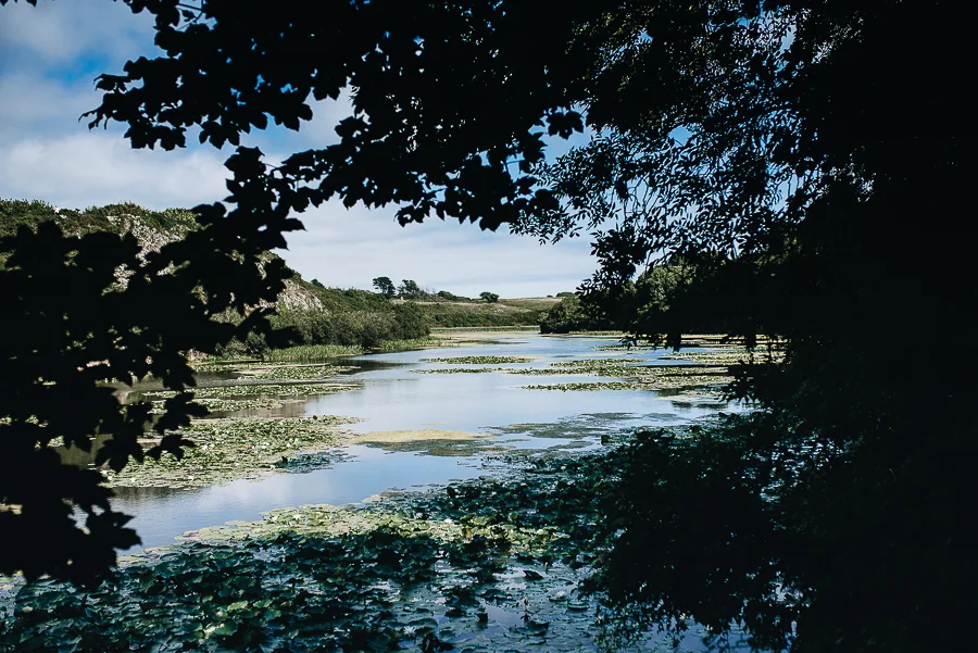 Bosherston Lily Ponds and Broad Haven South Beach — Our Beautiful ...