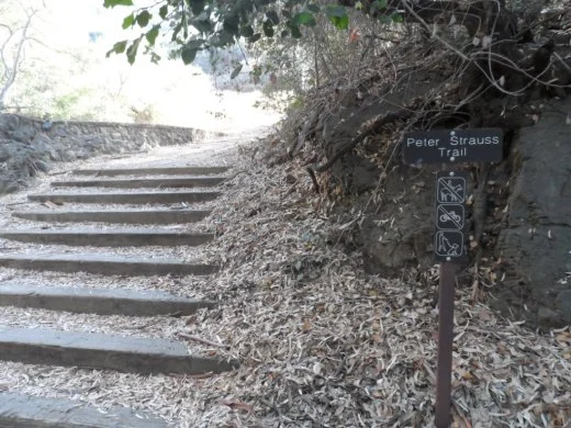 Peter Strauss Ranch in Agoura Hills — Conejo Valley Guide | Conejo ...
