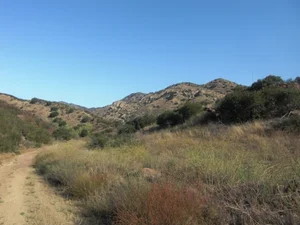 Cheeseboro/Palo Comado Canyons in Agoura Hills — Conejo Valley Guide ...