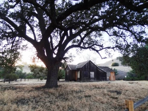 Cheeseboro/Palo Comado Canyons in Agoura Hills — Conejo Valley Guide ...