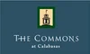 Kids Club at The Commons at Calabasas — Conejo Valley Guide | Conejo ...