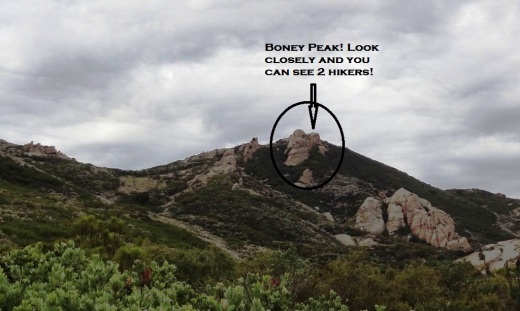 Boney Mountain Peak Hike From Newbury Park — Conejo Valley Guide ...