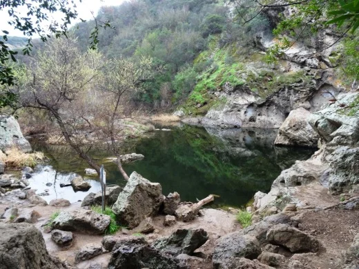 Grasslands Trail to Rock Pool Hike in Malibu Creek State Park — Conejo ...