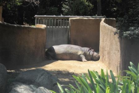 Los Angeles Zoo and Botanical Gardens — Conejo Valley Guide | Conejo ...