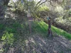 Spring Canyon Trail Hike in Thousand Oaks — Conejo Valley Guide ...