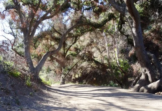 Compilation of Great Trails and Hikes In and Around Ventura County ...