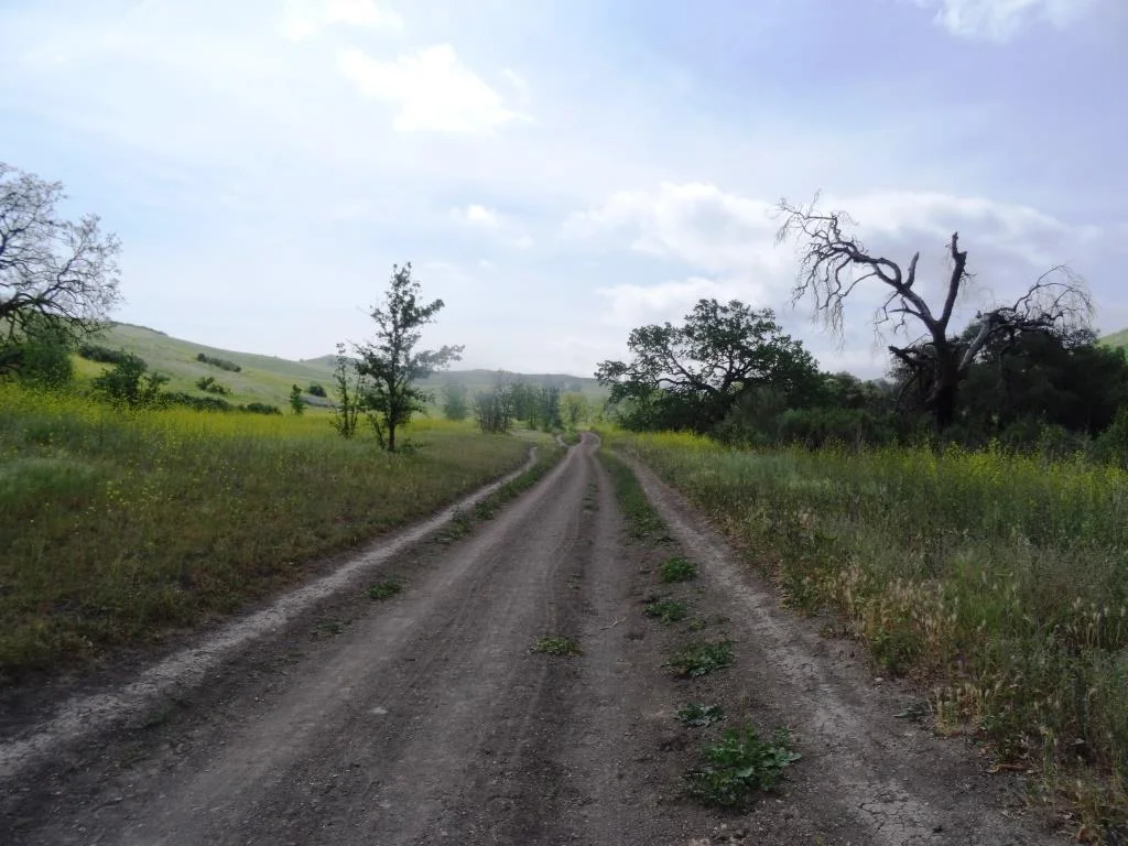 Cheeseboro/Palo Comado Canyons in Agoura Hills — Conejo Valley Guide ...