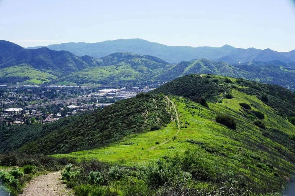 Green As We've Ever Seen After Recent Rainstorms in the Conejo Valley ...