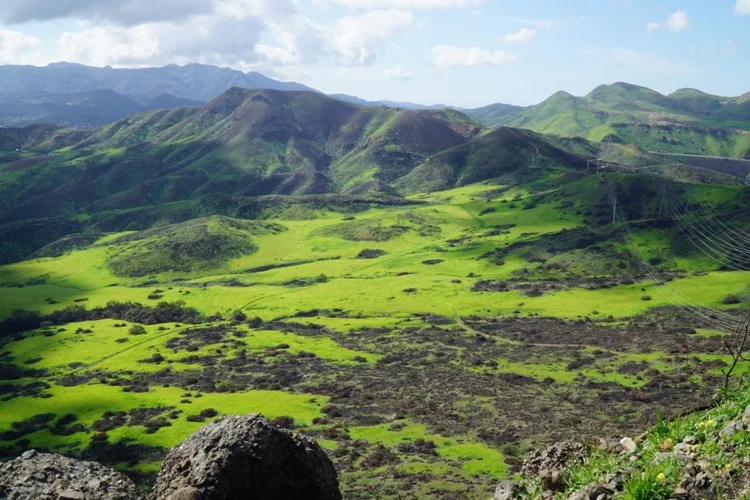 On the Hunt For Wildflowers in the Conejo Canyons Open Space in ...