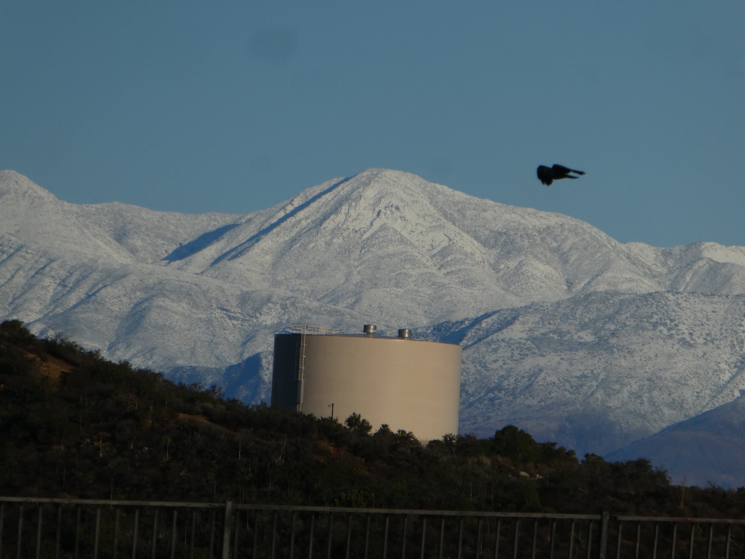 Snow — Welcome! — Conejo Valley Guide | Conejo Valley Events