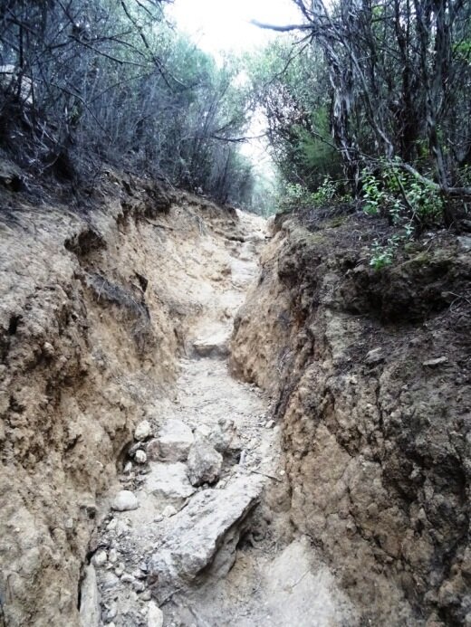 Boney Mountain Peak Hike From Newbury Park — Conejo Valley Guide ...
