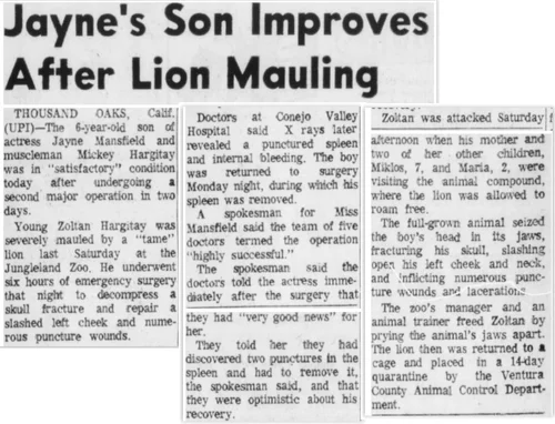 Incident with Janye Mansfield's Six Year Old Son at Jungleland Thousand ...