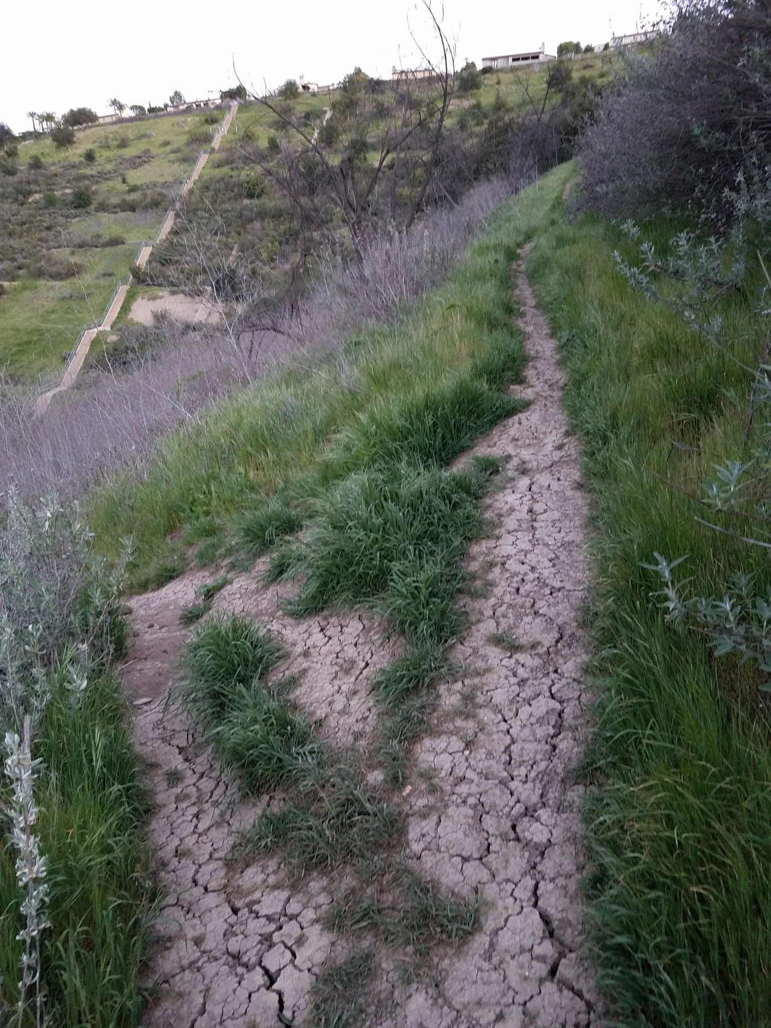 The Calabasas Stairs — Conejo Valley Guide | Conejo Valley Events