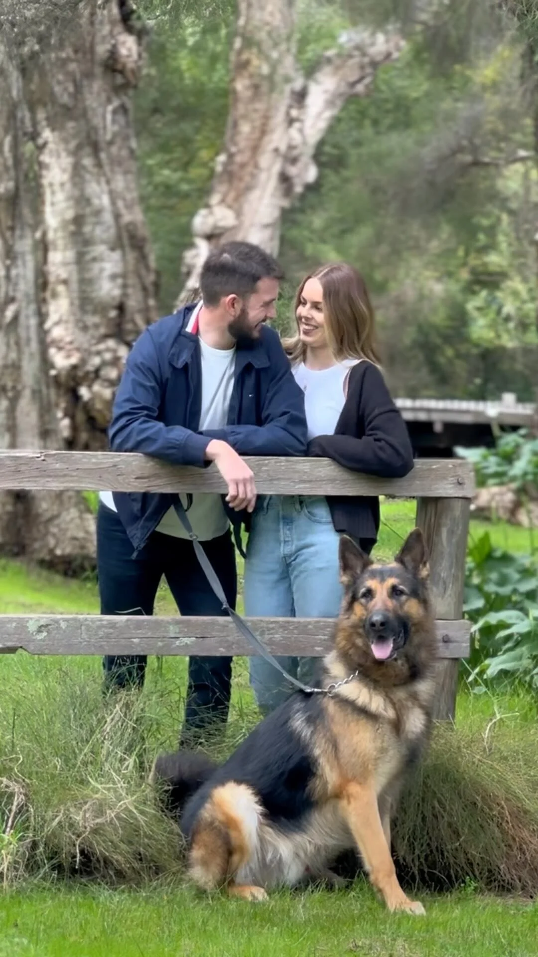 Four Paws Photography - Perth Pet Photography