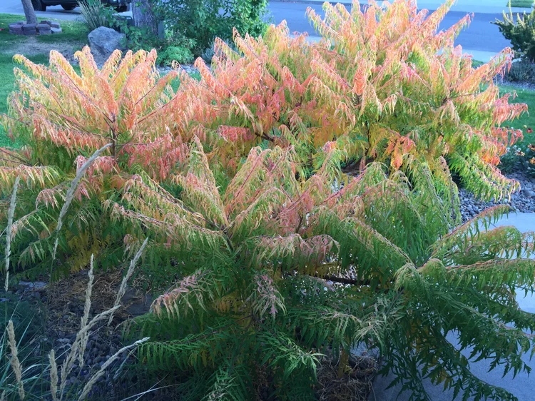 Beautiful Fall Color — North of South Landscapes