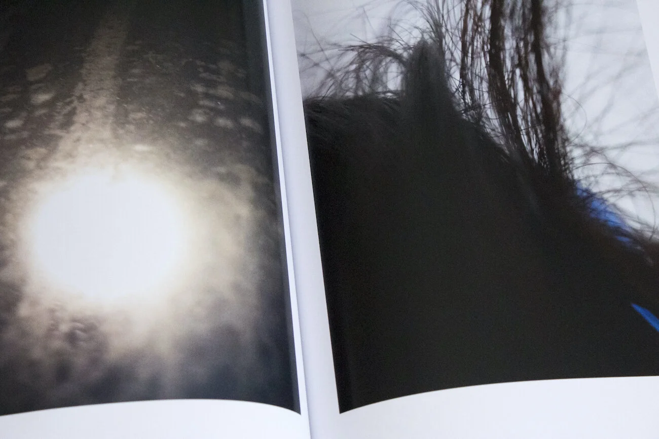 books — Henry H. Hu