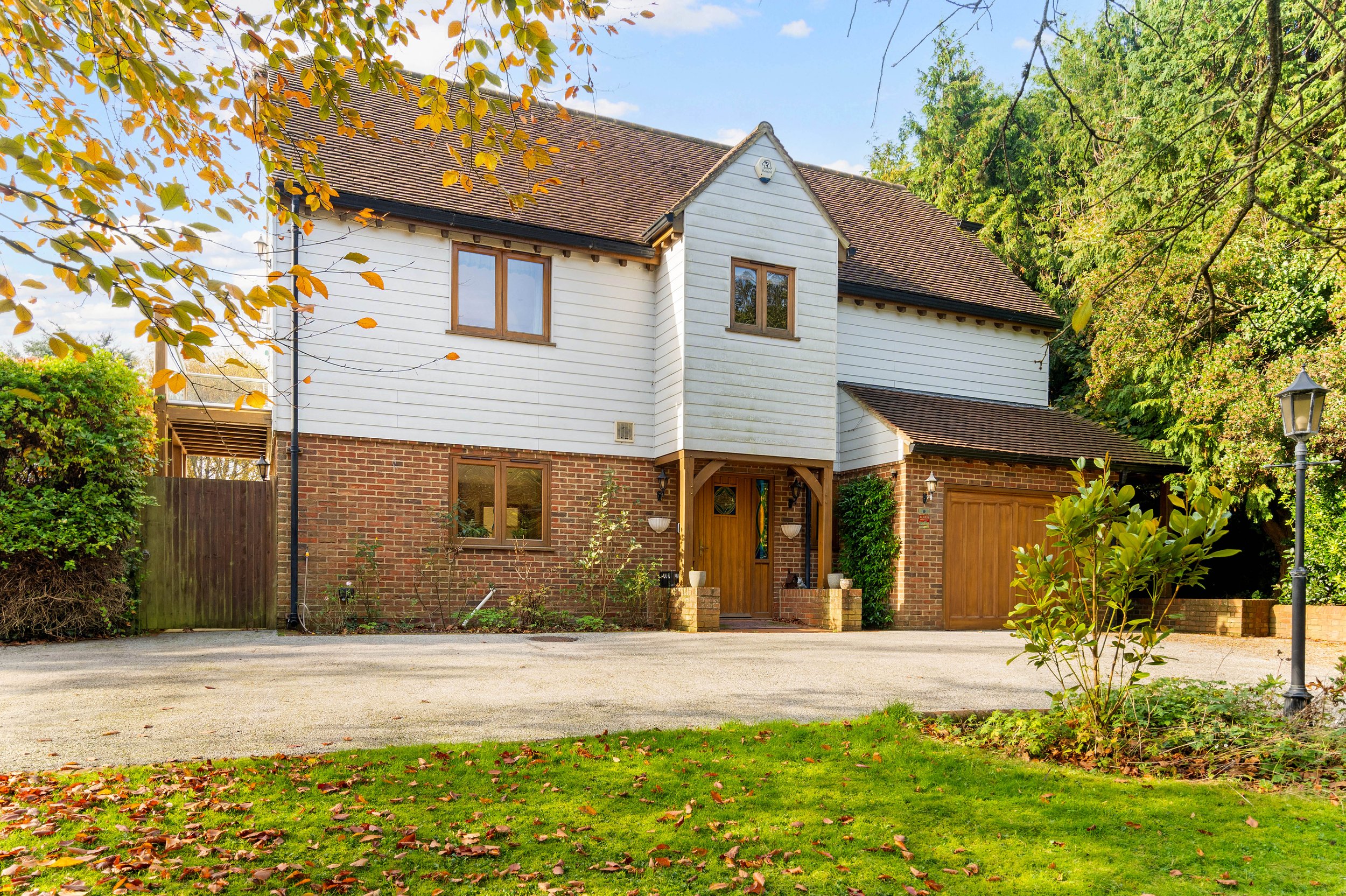 Chatt Estates — The Ragged Dog