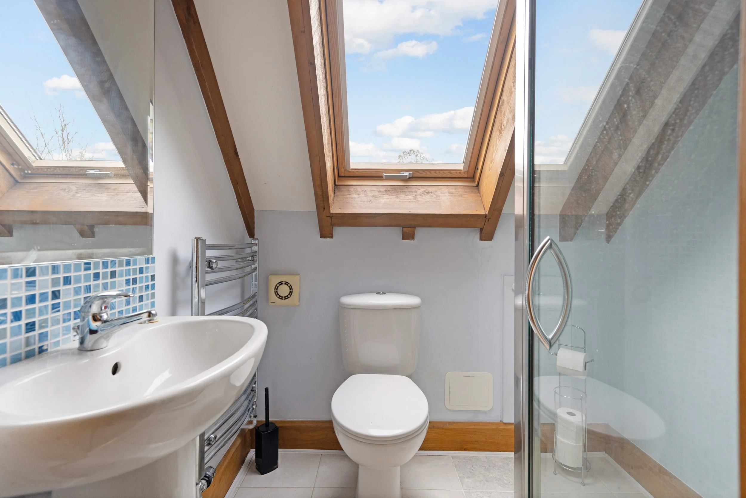 Chatt Estates — The Ragged Dog