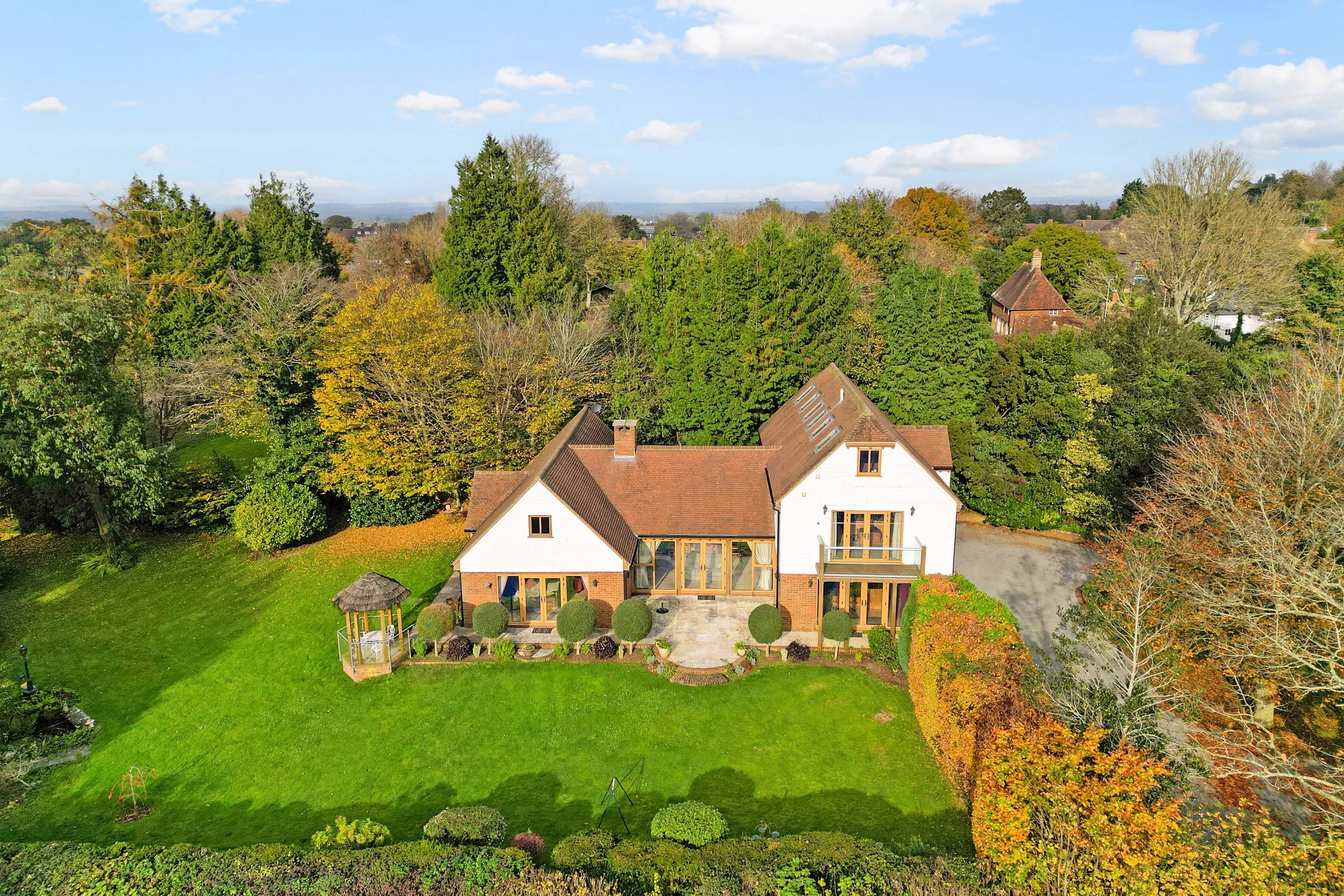 Chatt Estates — The Ragged Dog