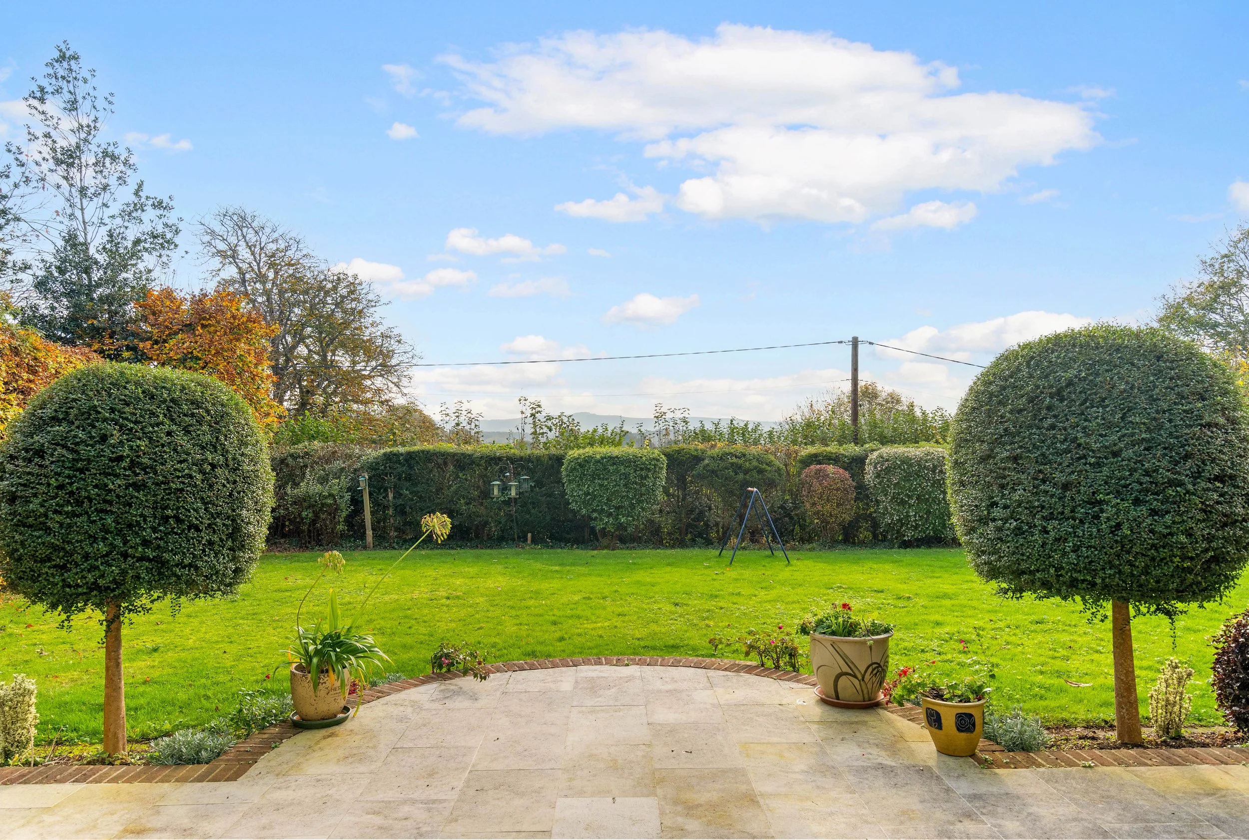 Chatt Estates — The Ragged Dog