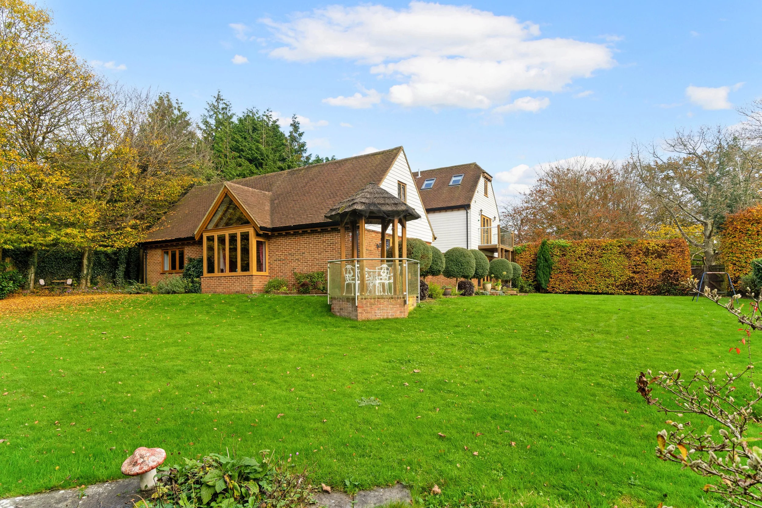 Chatt Estates — The Ragged Dog