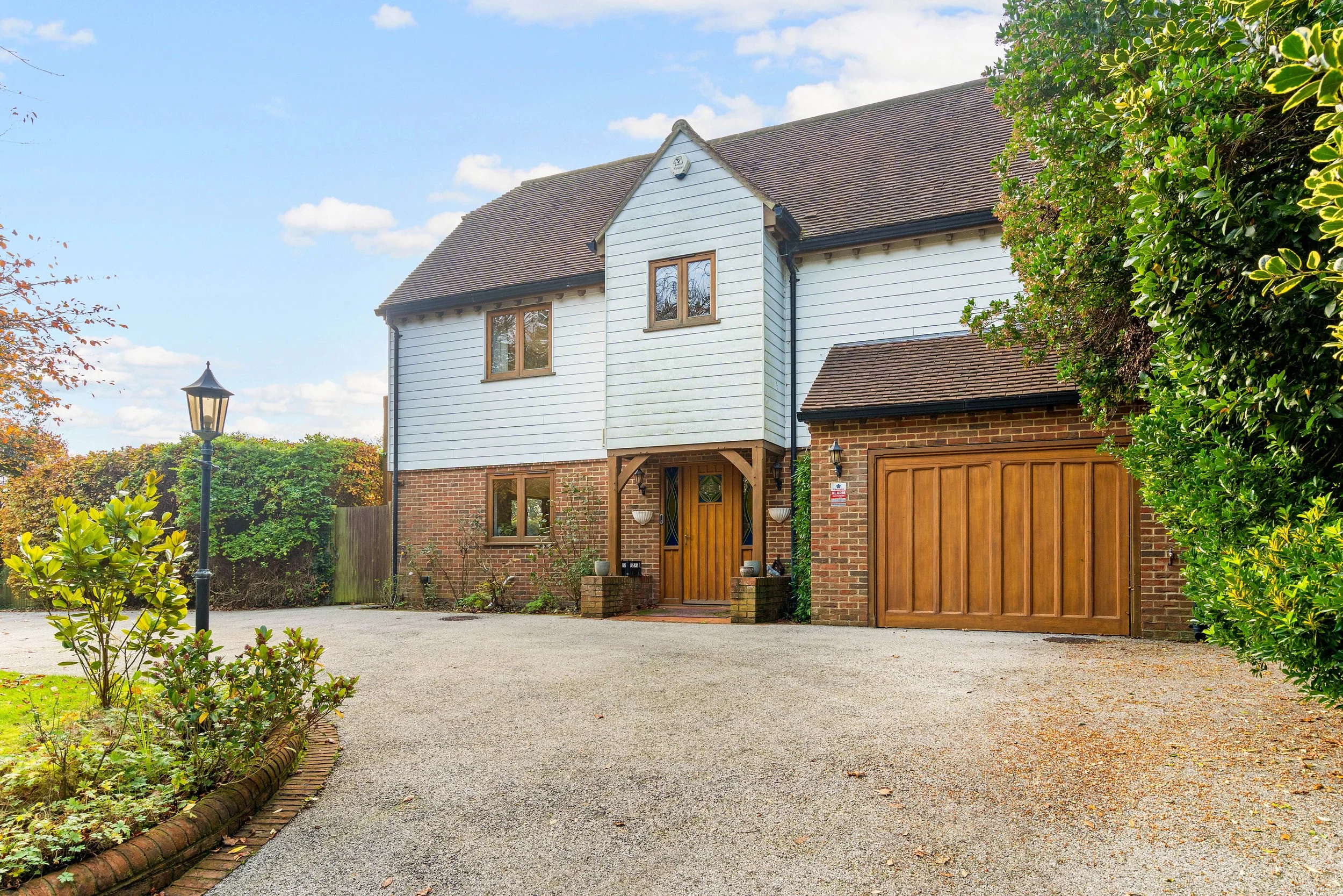 Chatt Estates — The Ragged Dog