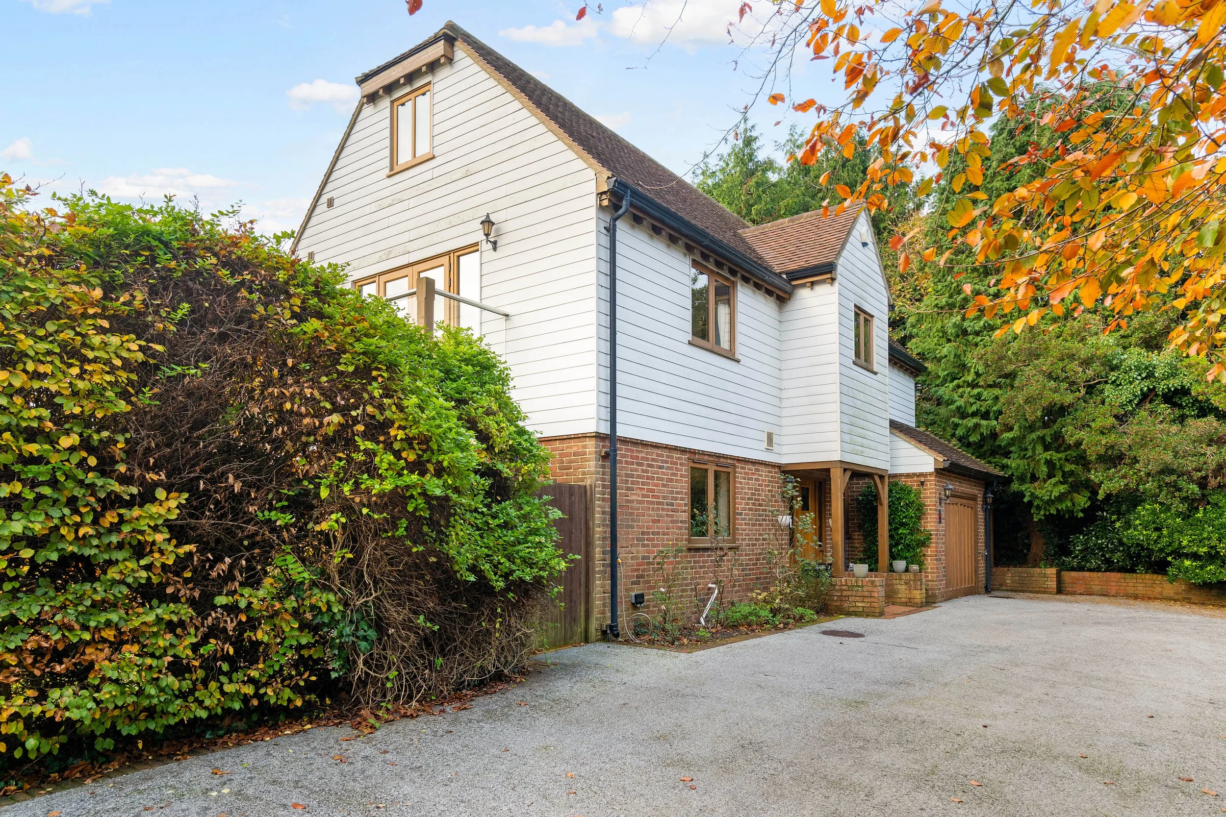 Chatt Estates — The Ragged Dog