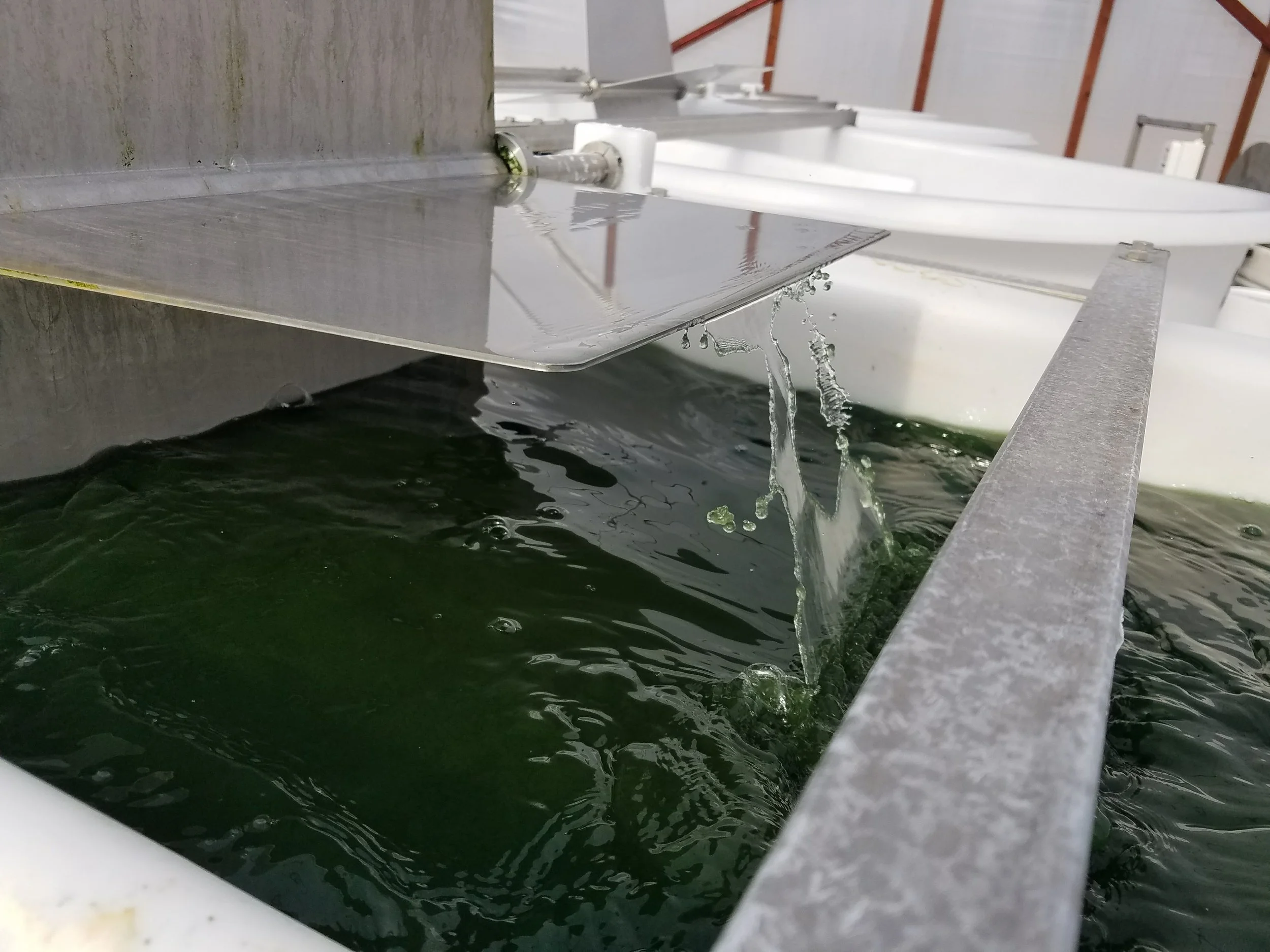 MicroBio Engineering