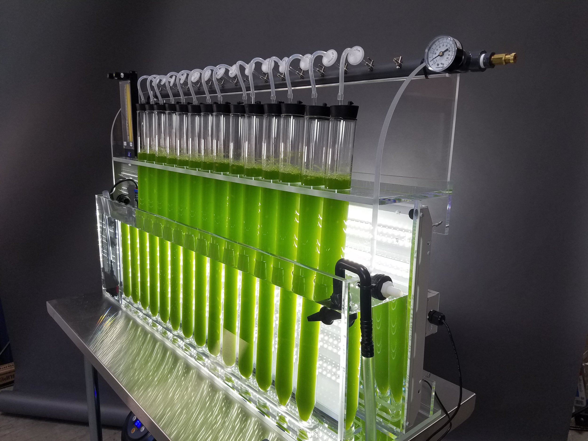 Scientific Consulting — MicroBio Engineering