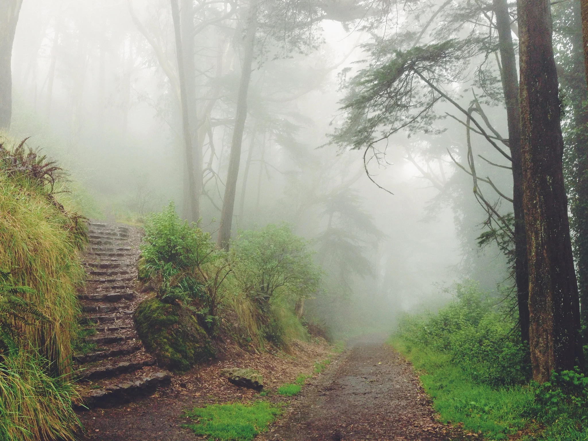 Visit — Mt. Davidson Cross